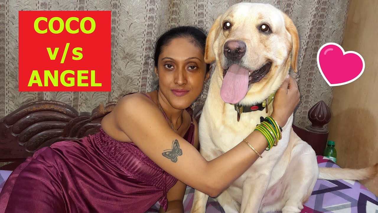 WHO'S MUM IS SHE? Coco & Angel fights over Mum. Super hilarious video ...