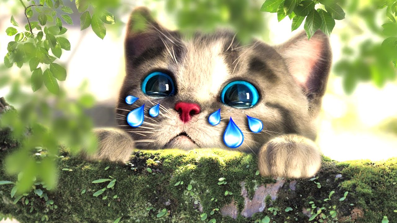 ANIMATED LITTLE KITTY ADVENTURES 😸 | CUTE LITTLE KITTEN Cat Play Fun ...