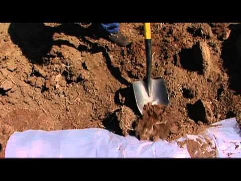 Soil Solarization - YouTube