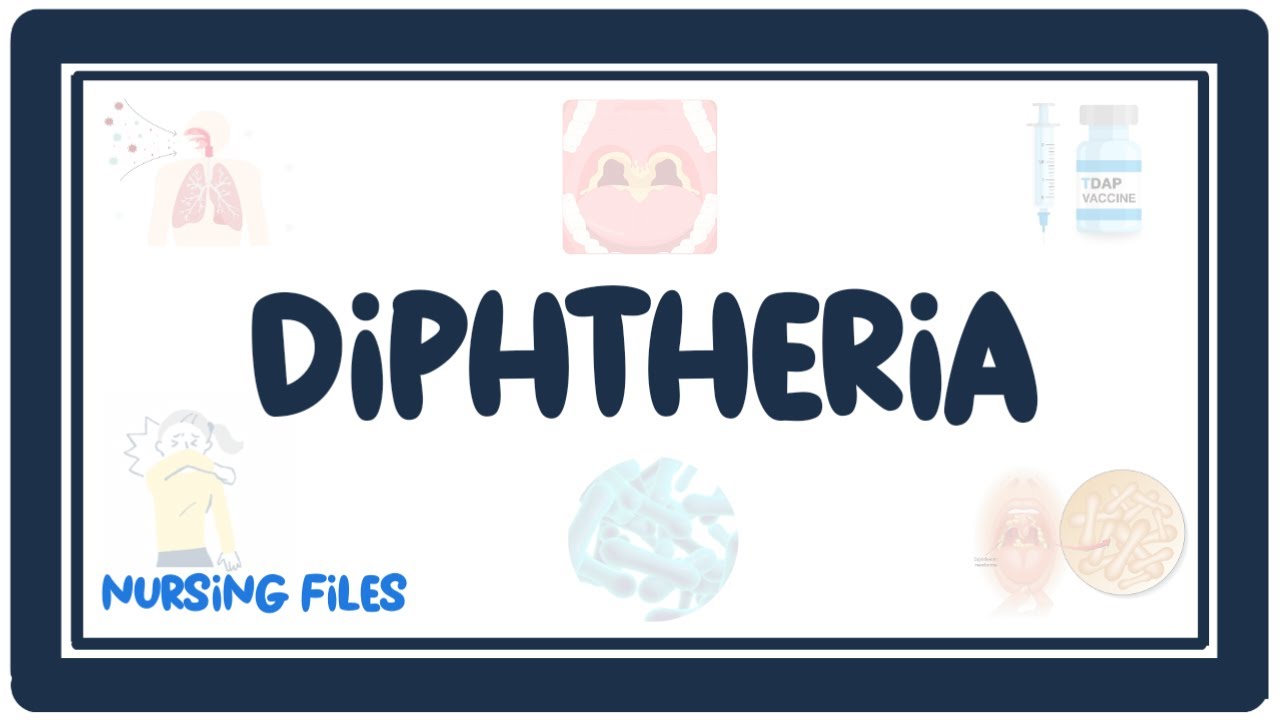 Corynebacterium Diphtheriae Explained | Pathogenesis, Diagnosis ...