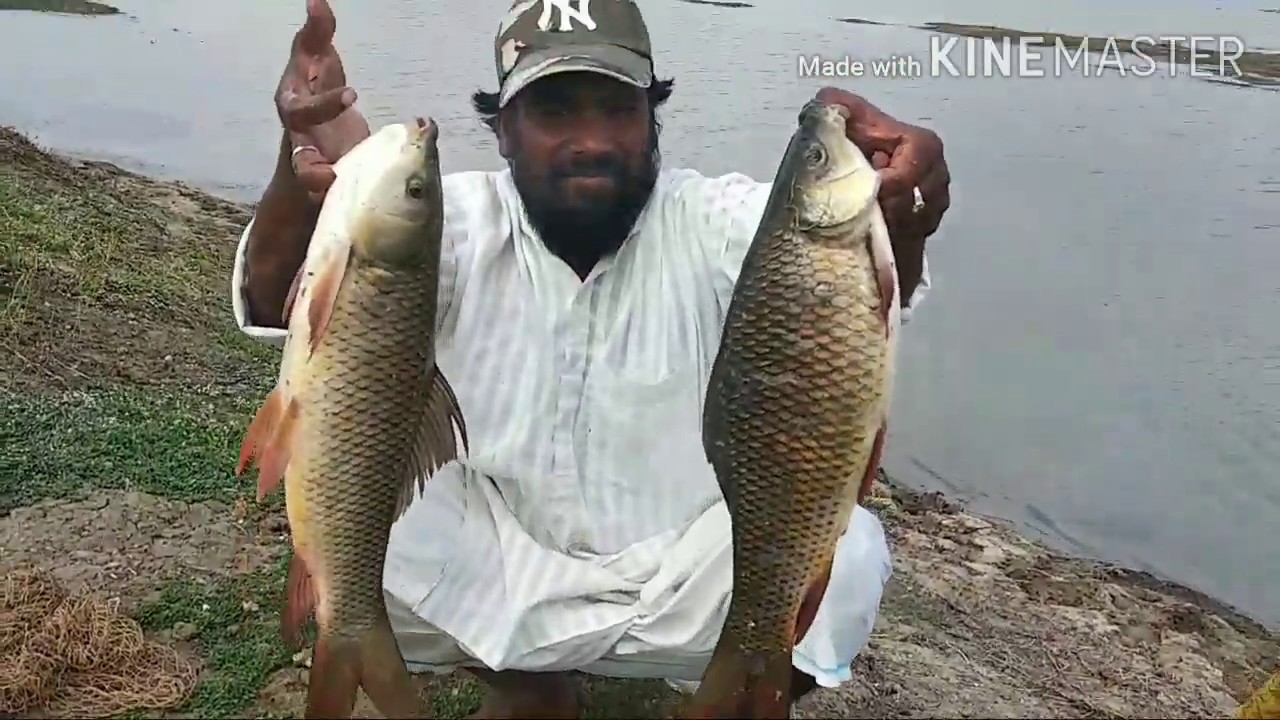 Big raho fish gussa hook unique fish trap big valuga fishing - YouTube