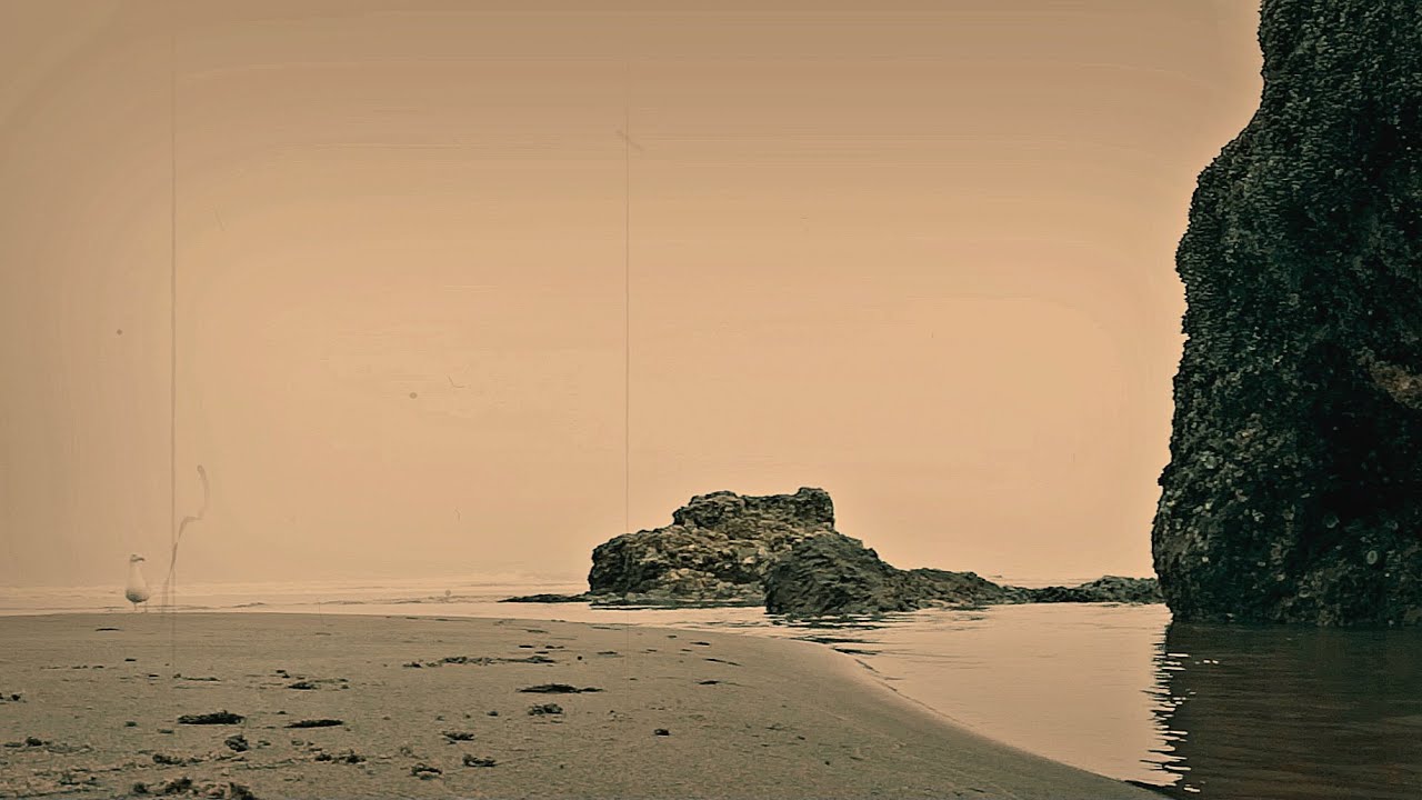 Fuzzy Ed - Walk By The Sea [Music Video] - YouTube