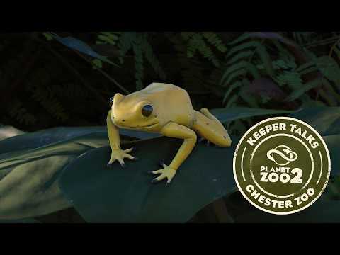 Planet Zoo 2 | Keeper Talks - Golden Poison Frog
