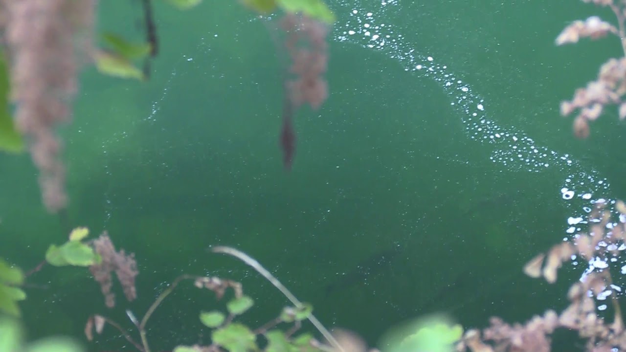 Stamp River Falls, August 31, 2017 - YouTube