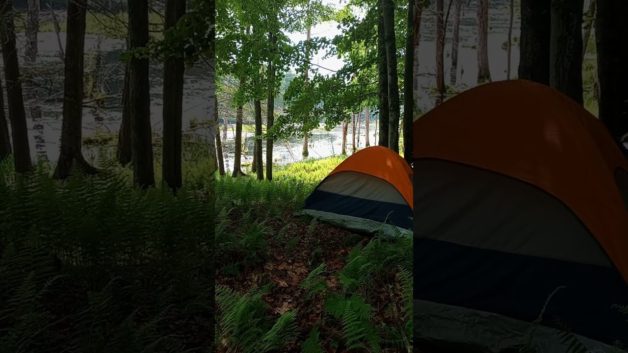 Home For 2 Weeks YouTube Home For 2 Weeks YouTube