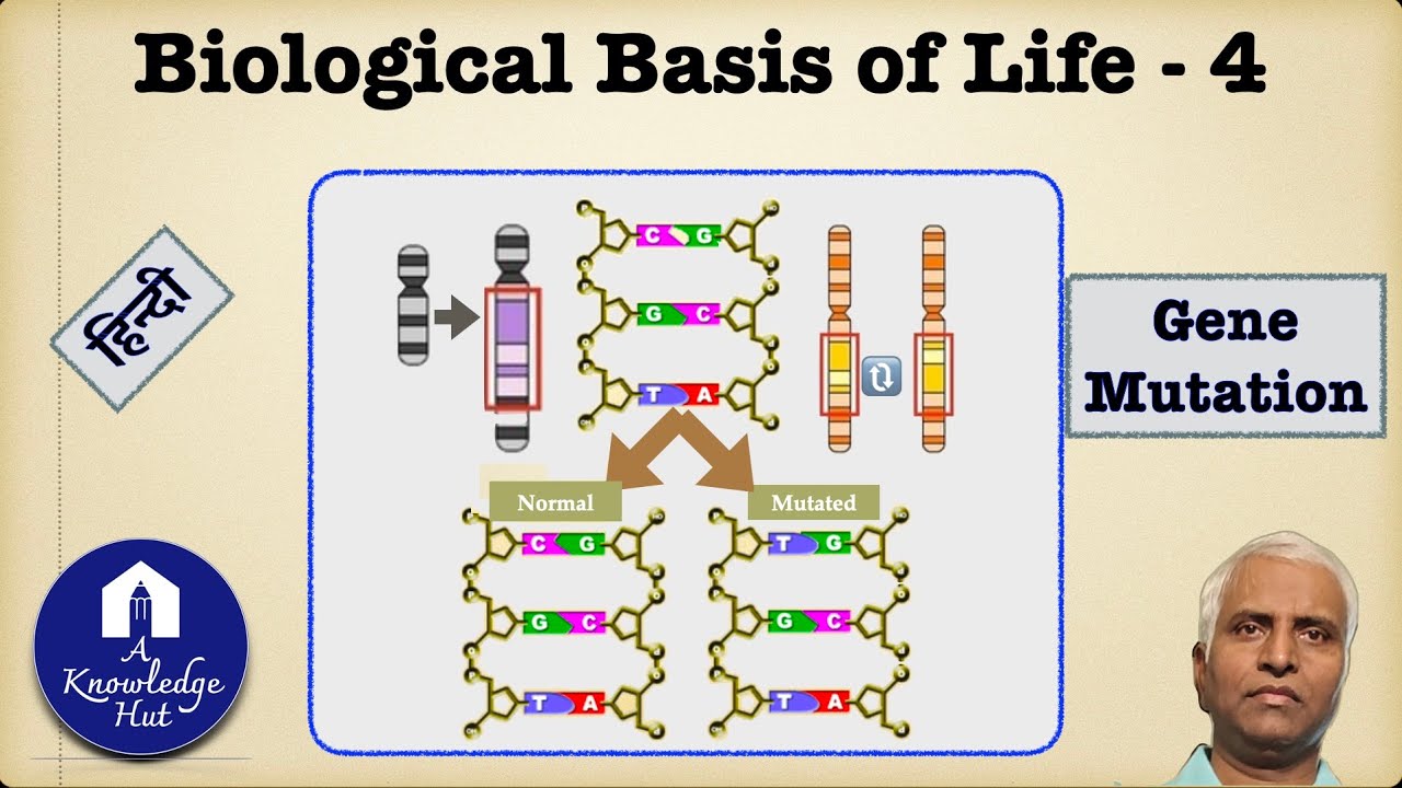 Biological Basis of Life 4 | Gene Mutation - YouTube