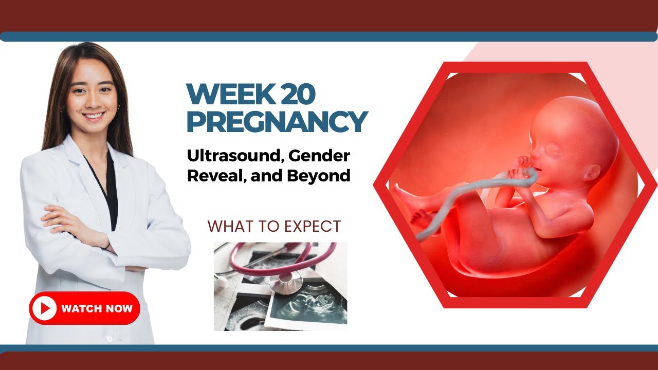20 Weeks Pregnant: Ultrasound, Gender Reveal, and Beyond. - YouTube