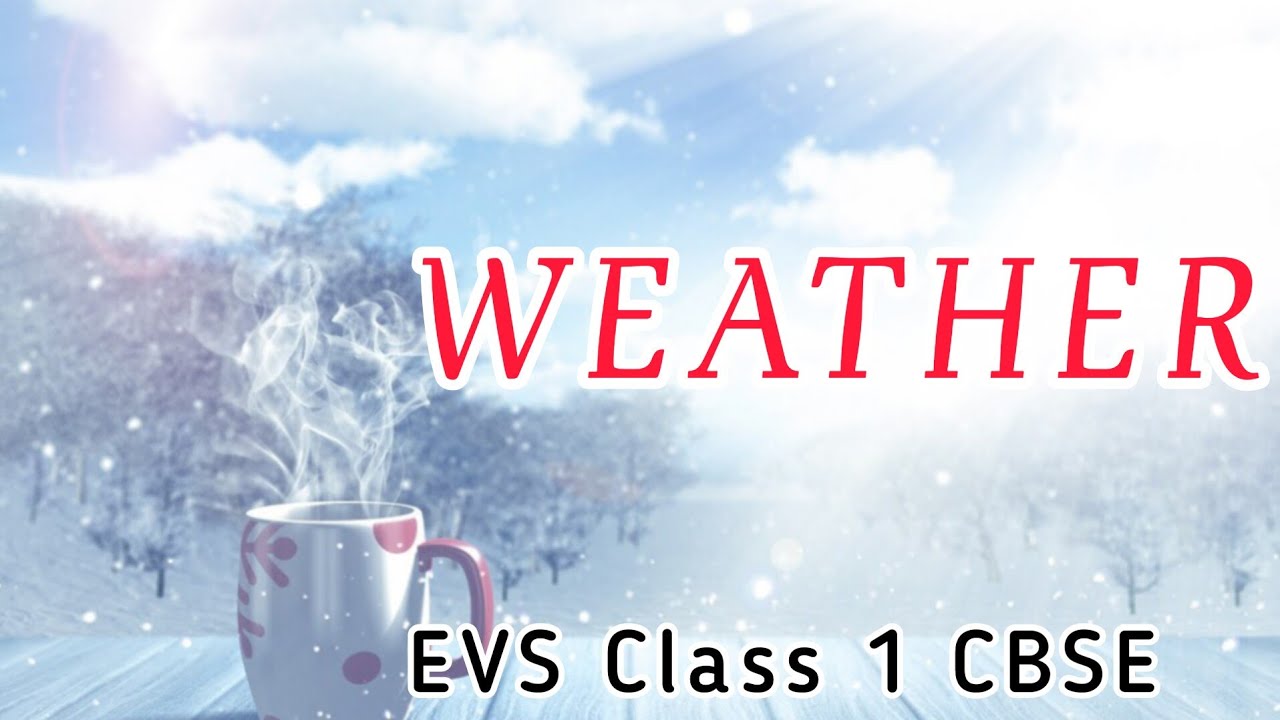 Weather for EVS Class 1 CBSE l Seasons l Weather & Seasons l Science ...