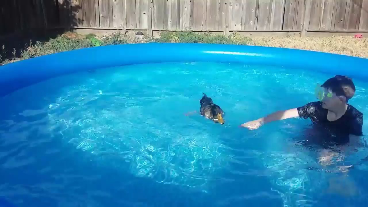 Dive boys - YouTube