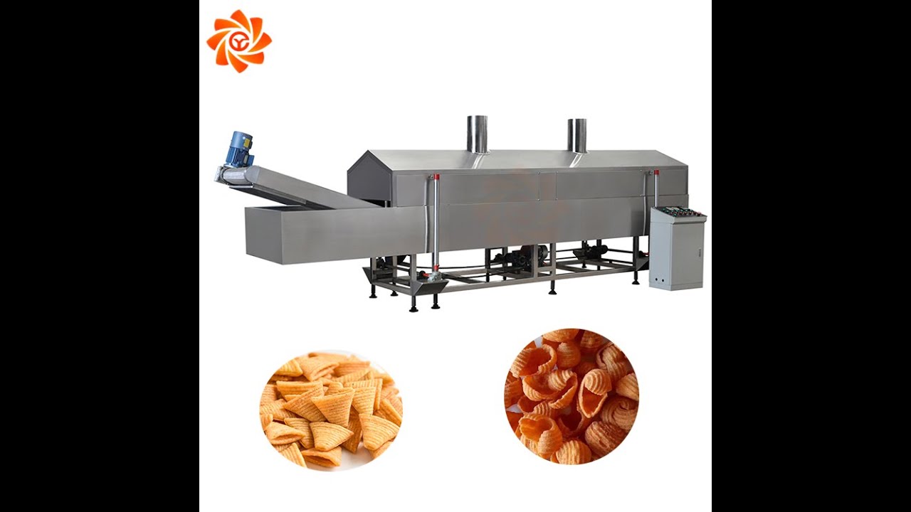 Fryer machine/Industrial fryer (Continuous fryer, Batch fryer) - YouTube