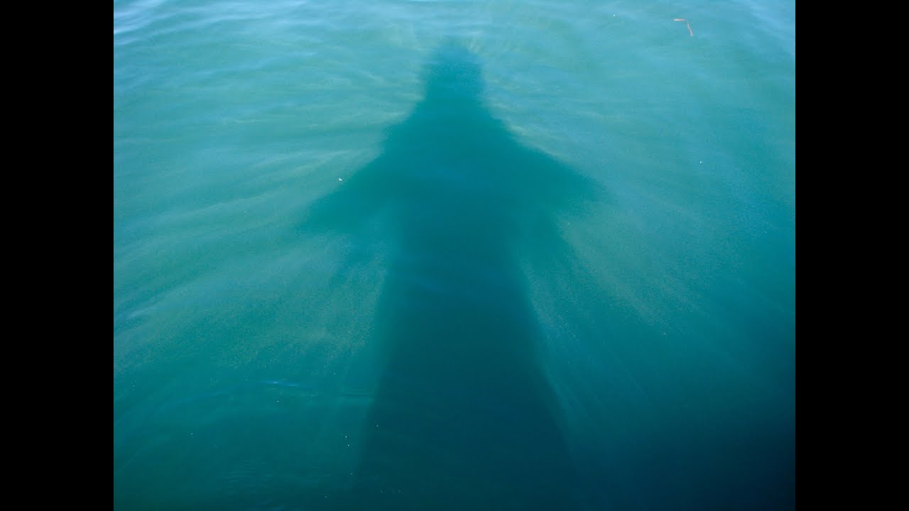 Near-Death Experience: The Light After Tunnel Felt Warm, Comforting ...