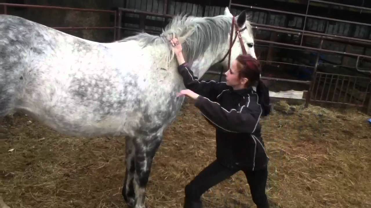 Mounting Bareback - YouTube