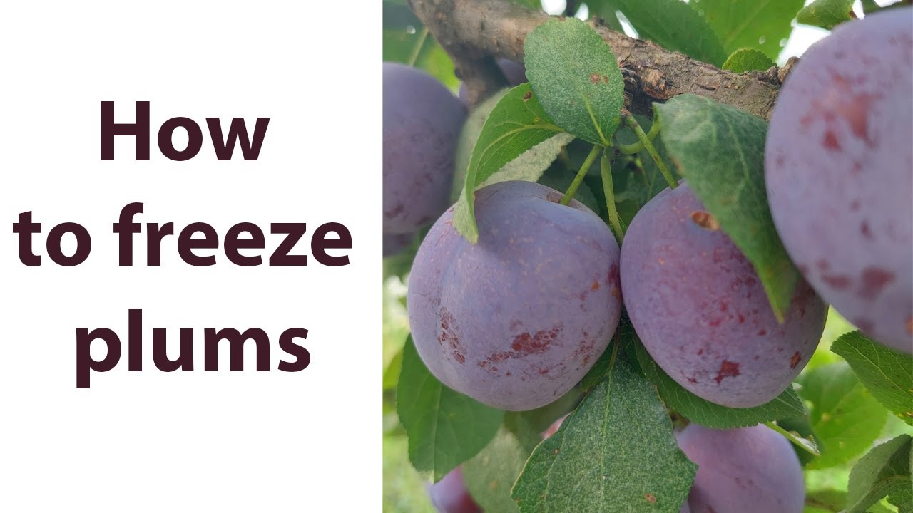 How to freeze plums - YouTube