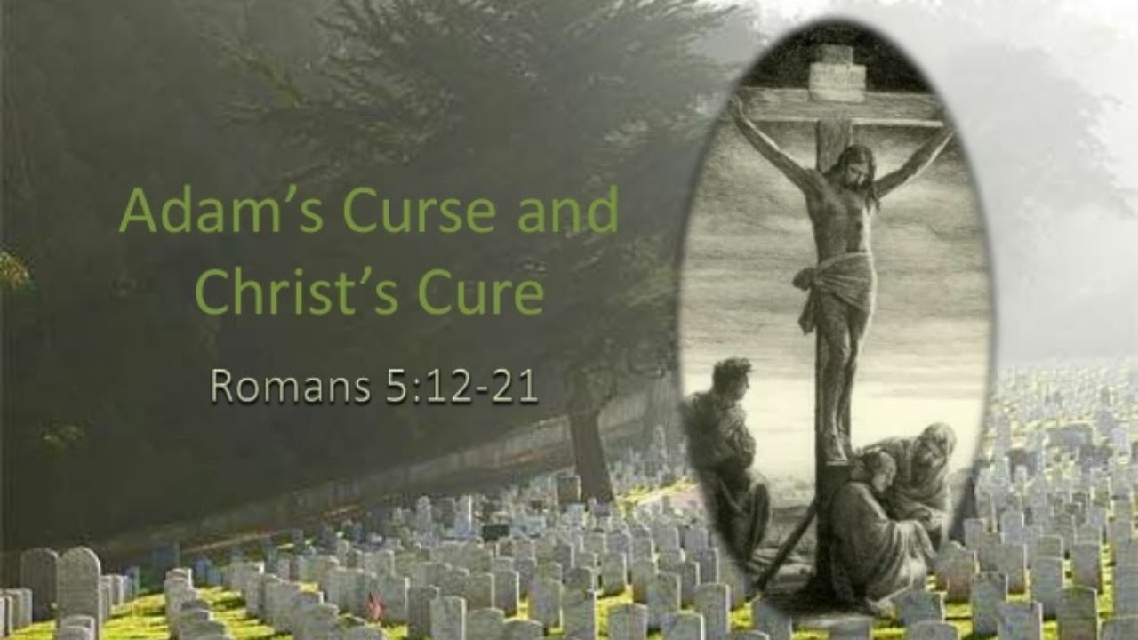 Death From Adam And Life Through Christ - YouTube