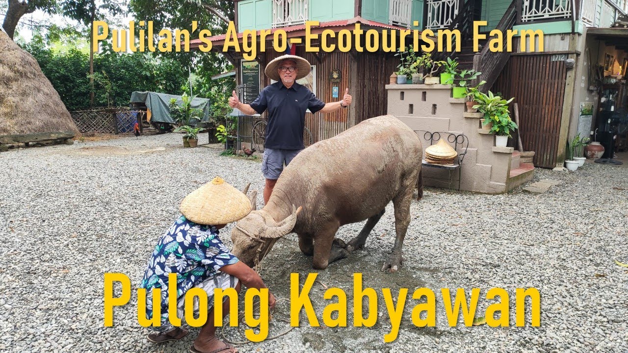 Pulong Kabyawan. Pulilan's Agro-Ecotourism Farm - YouTube