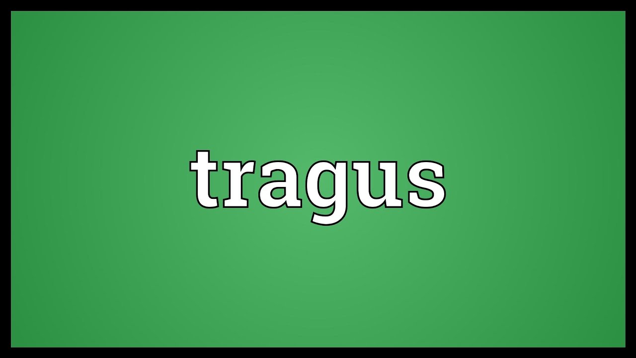 Tragus Meaning - YouTube