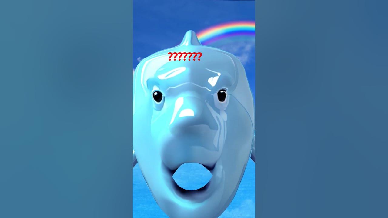 돌고래 초음파 소리 - YouTube