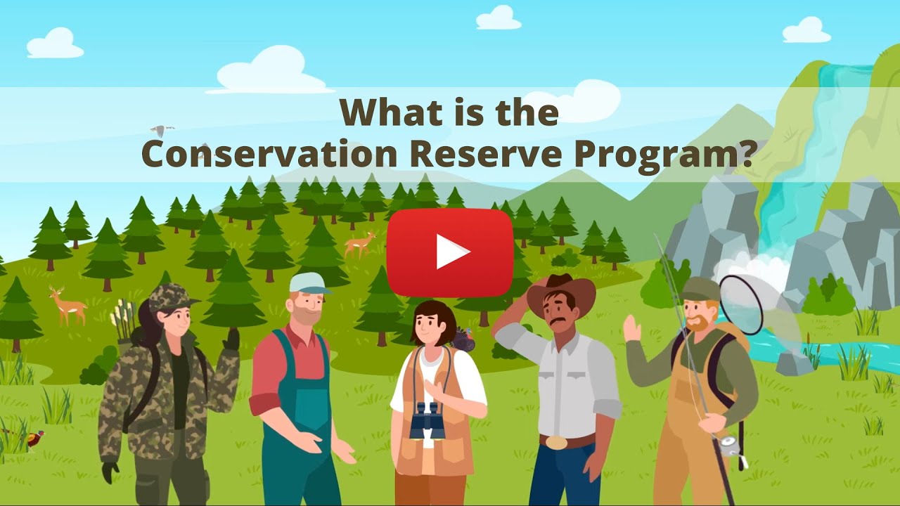 What is the Conservation Reserve Program? - YouTube