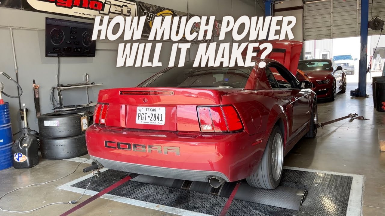 Dyno Tune for my Supercharged Terminator Cobra! - YouTube