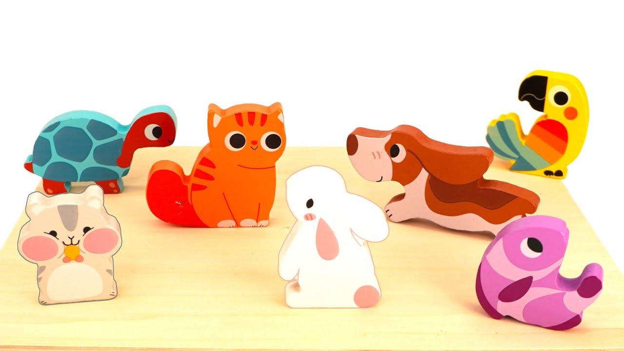 Pet Animal Puzzle| Find The Missing Pieces Activity | VIDEO FOR ...