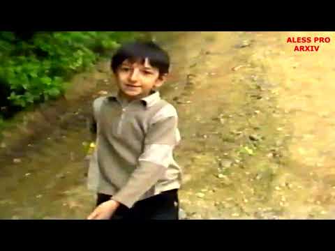 MASALLI Nene Kaset3 Hisse 1