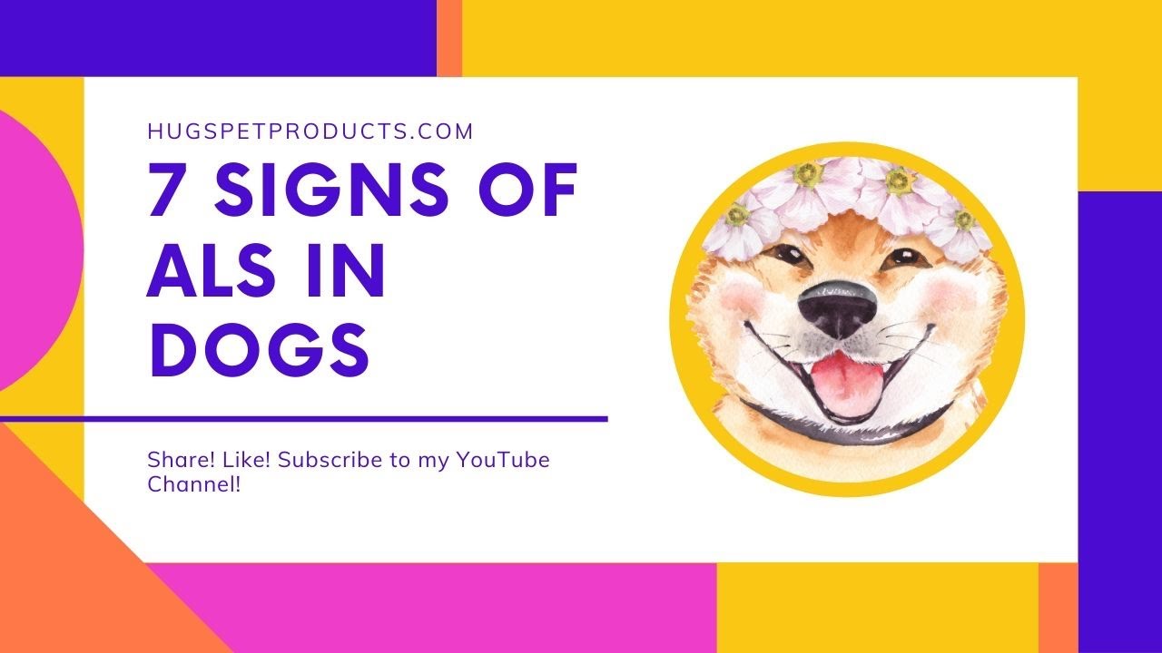 7 SIGNS OF ALS IN DOGS - YouTube
