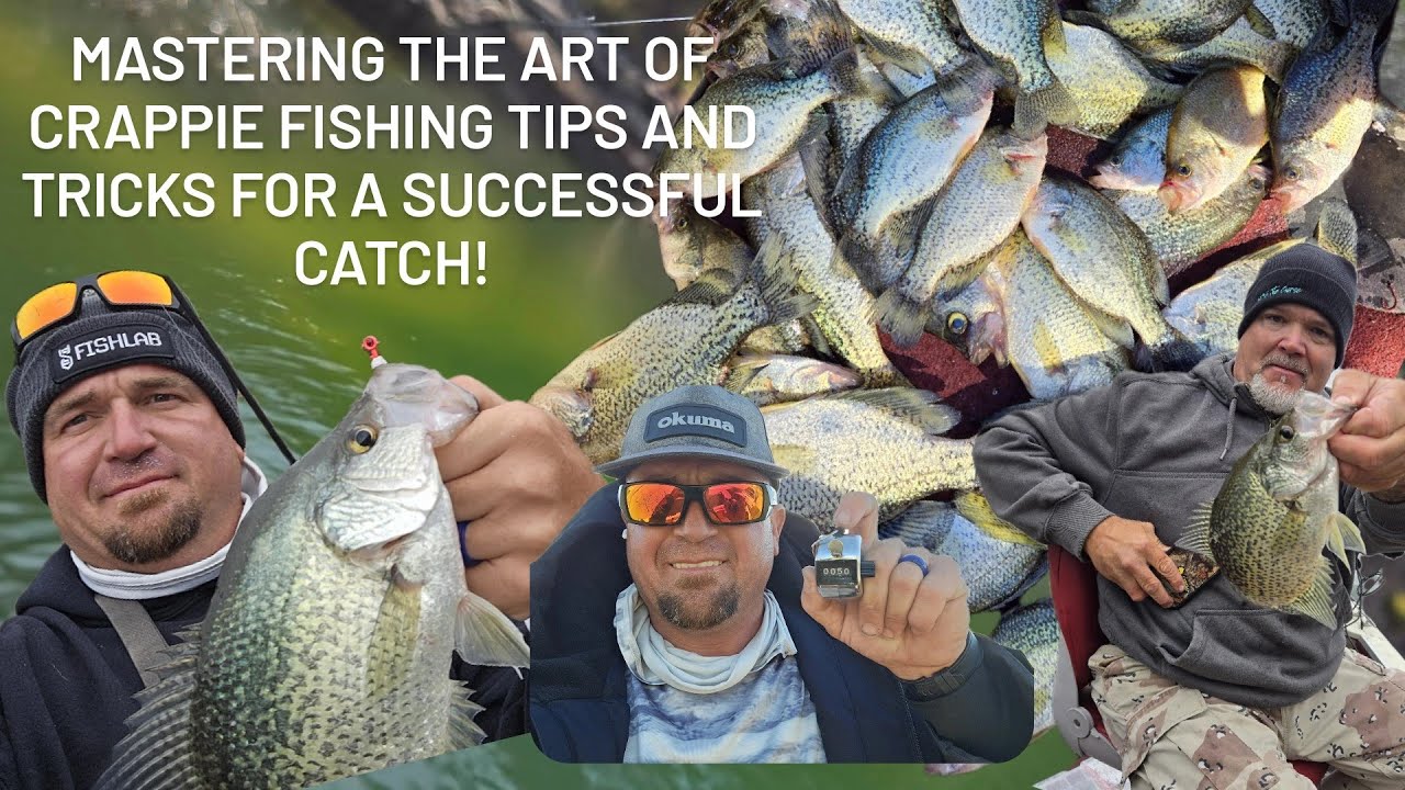 Mastering the Art of Crappie Fishing Tips and Tricks for a Successful ...