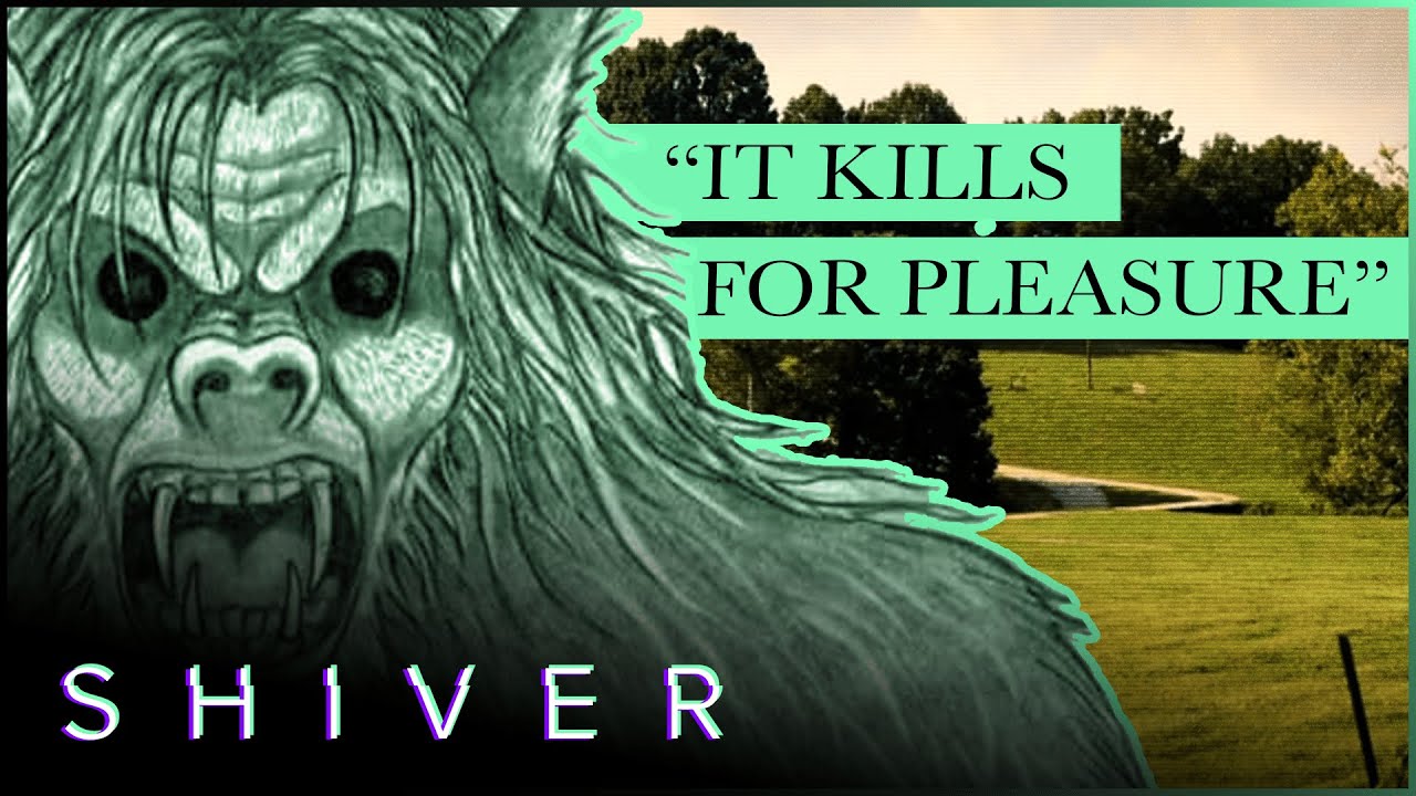 Shiver Explores Bearilla: Kentucky's Terrifying Truth - YouTube