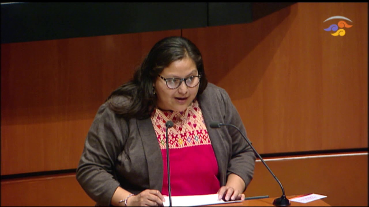 Sen. Hernández (Morena) busca prohibir "terapias" de conversión - YouTube