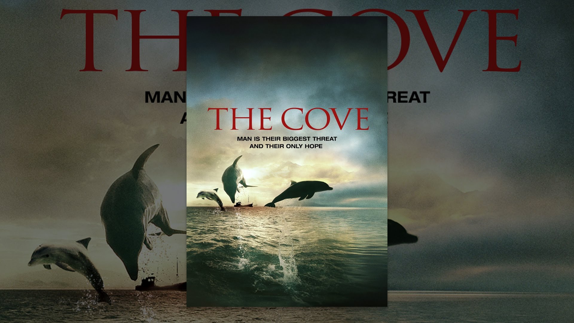 The Cove Documentary