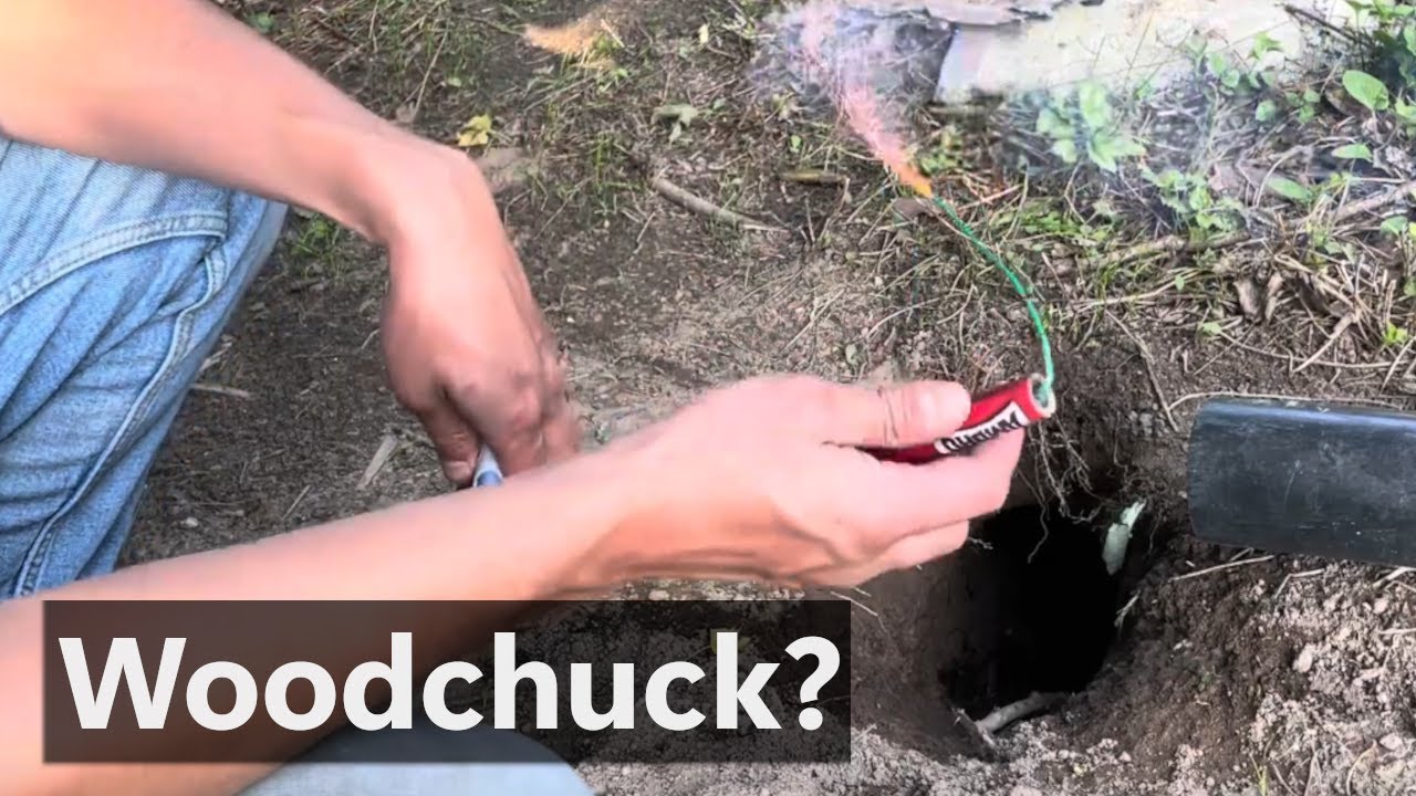 First Time Trying Amdro Gopher Gasser's - YouTube