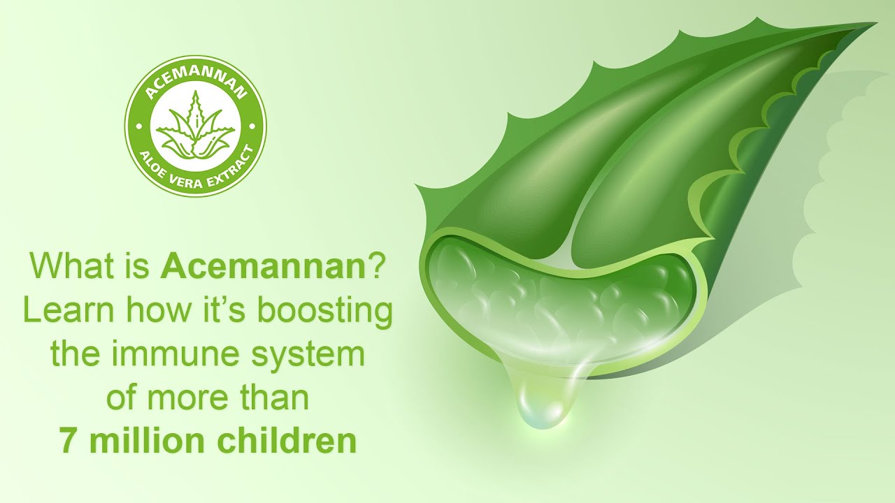 What is Acemannan? - YouTube