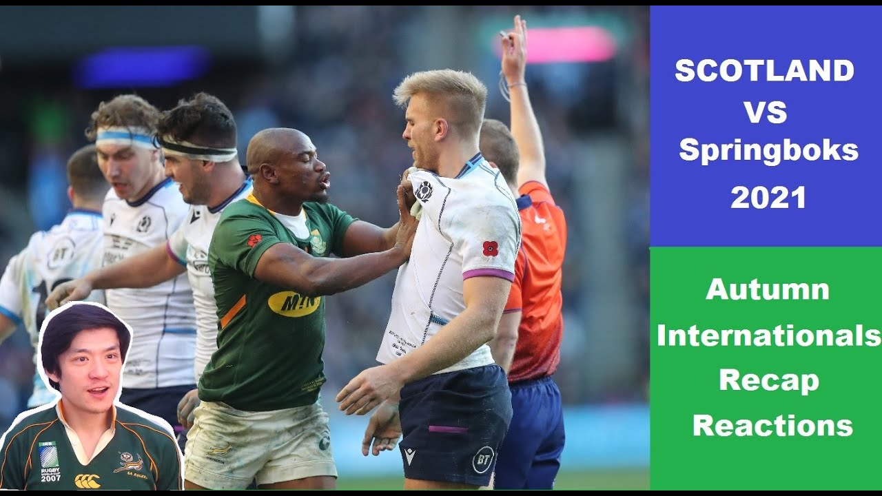 Reviewing: Scotland VS Springboks 2021 Autumn Internationals. Wildkard ...