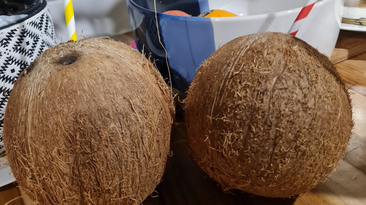 opening coconuts 🥥 #viral #australia - YouTube