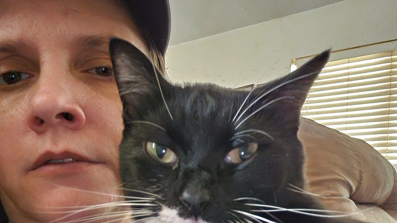 Late chat part 2 - YouTube