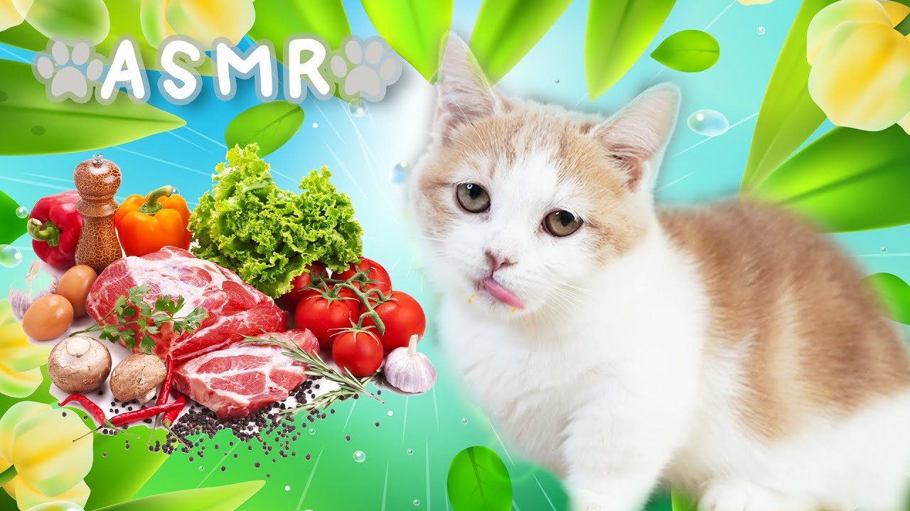 Satisfying cat eating, Most cutie cat eating show Collection coming ...