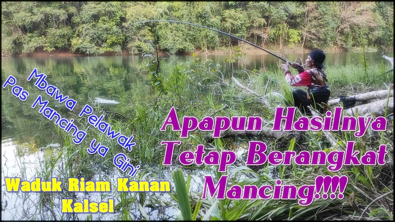 Resiko Mancing Tanpa Persiapan - Edisi Mancing Nila Memantai Di ...