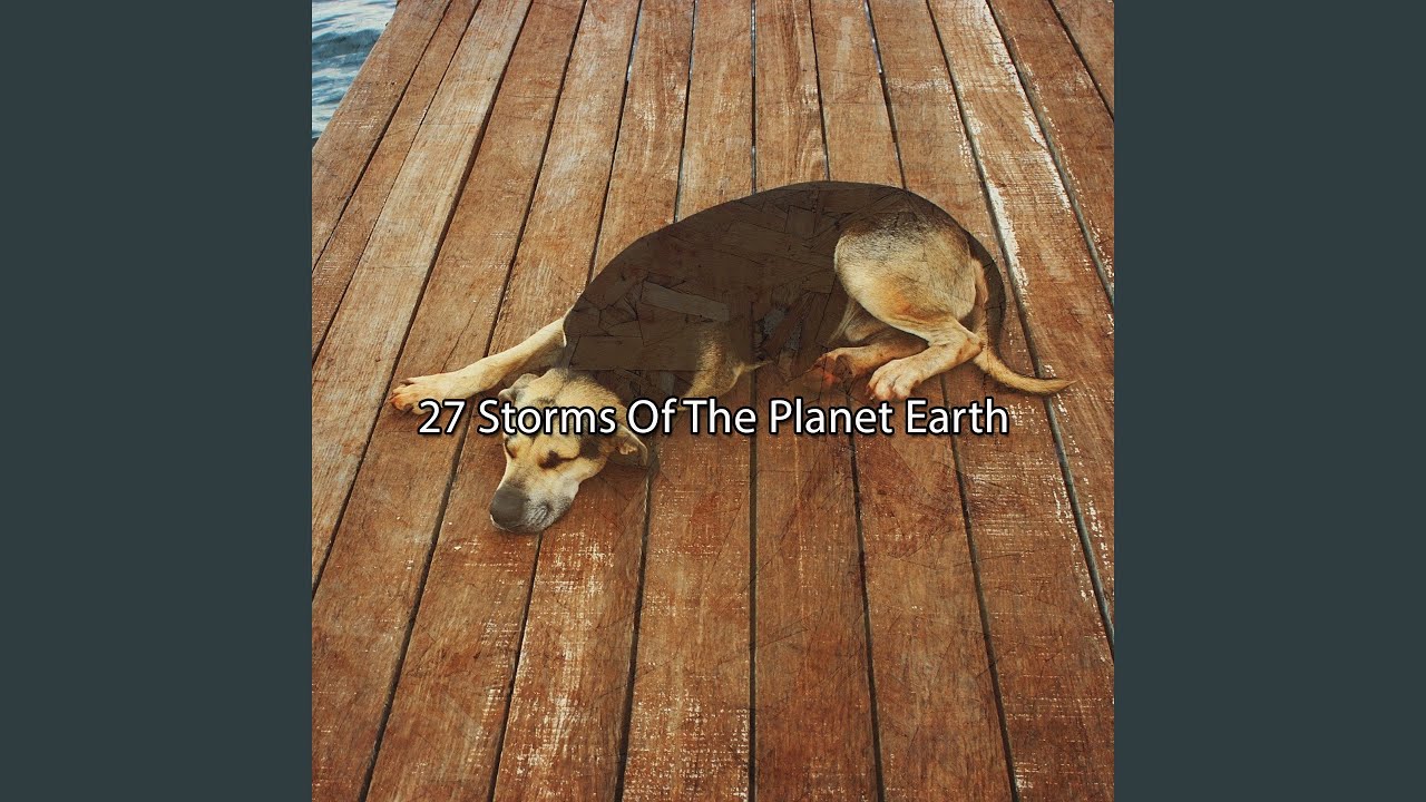 Storm For Calm - YouTube