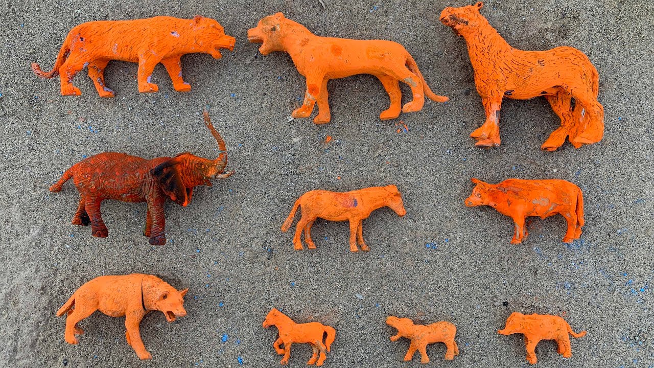 Animals collection farm | different animals collection | zoo animal ...