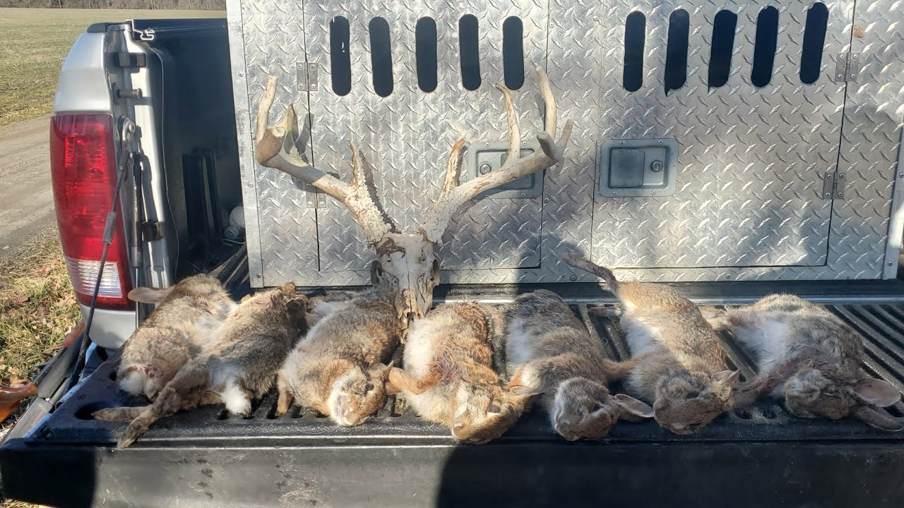 Virginia Rabbit Hunting 2026!! Ep:2!! Multiple Killshots!! Epic Rabbit ...