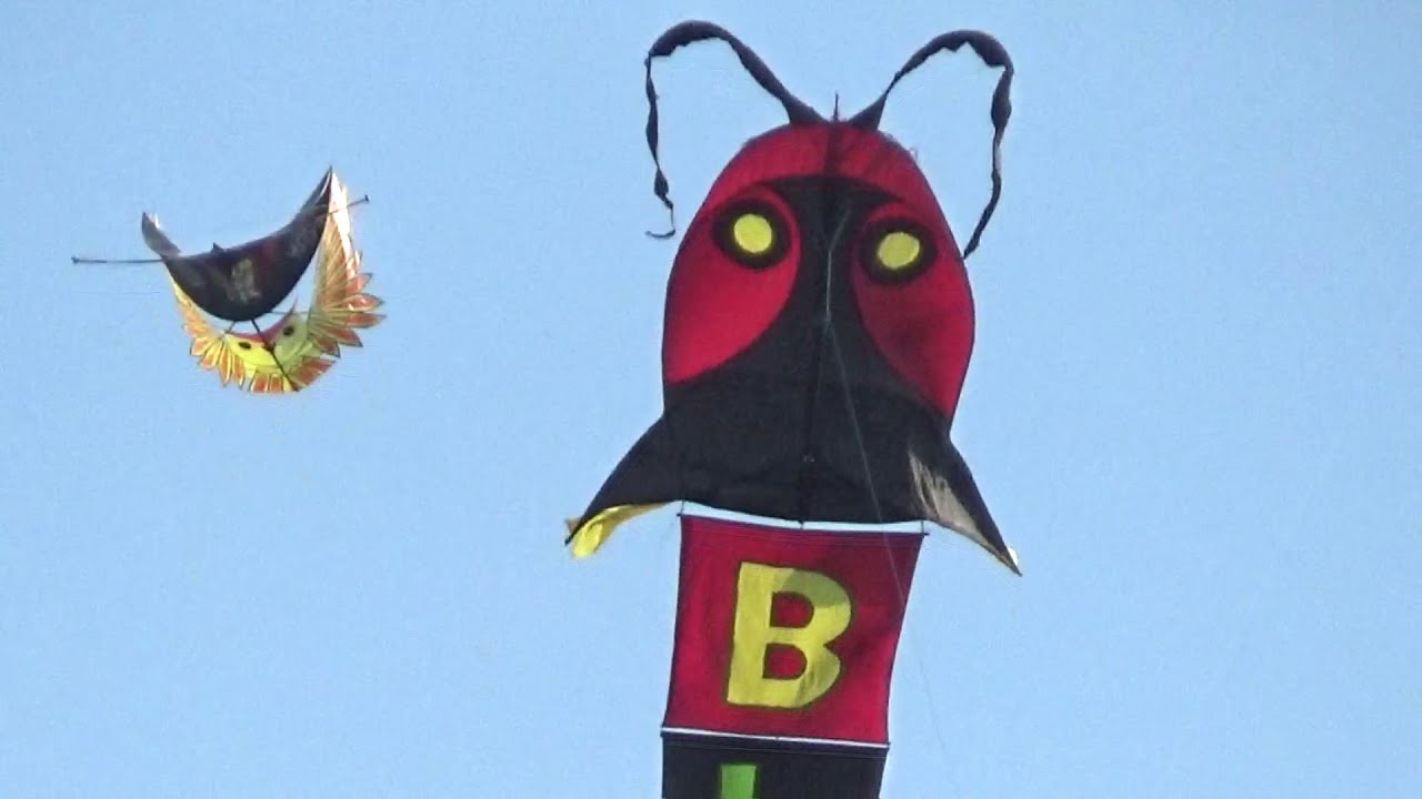 VIDEO KENANGAN LOMBA LAYANG-LAYANG 17 AGUSTUSAN, LAYANGAN LELE TERBESAR ...