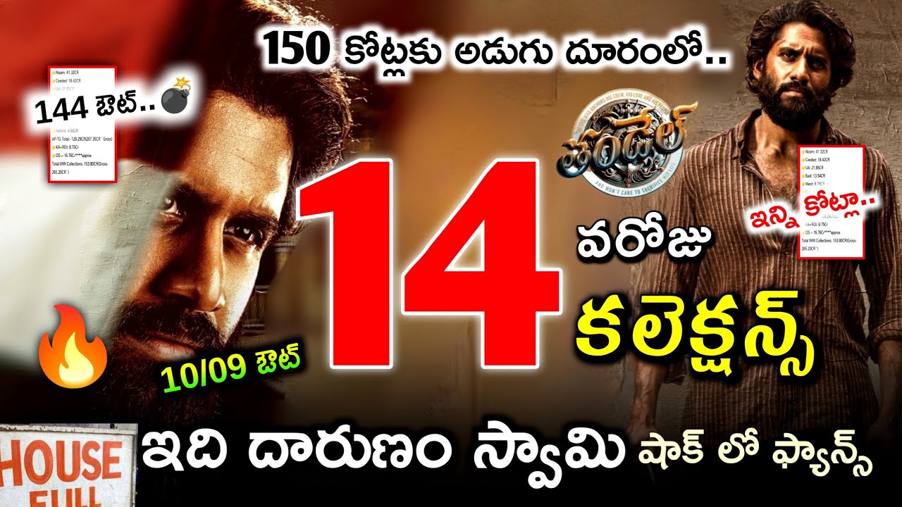 Day 14 Thandel Movie Collections🔥 Thandel Movie 14th Day Official ...