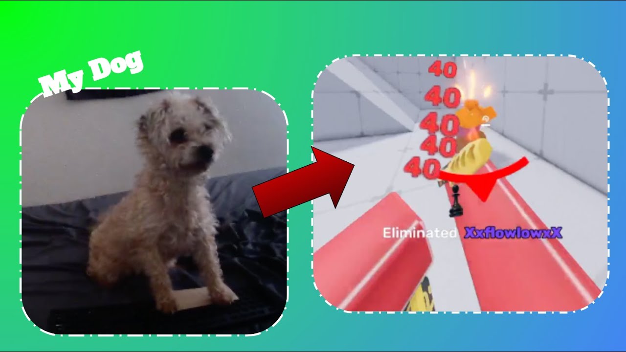 I trained my dog to play Roblox Rivals... - YouTube