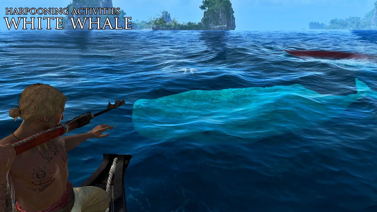 Assassin's Creed IV: Black Flag - Harpooning activities: White Whale ...
