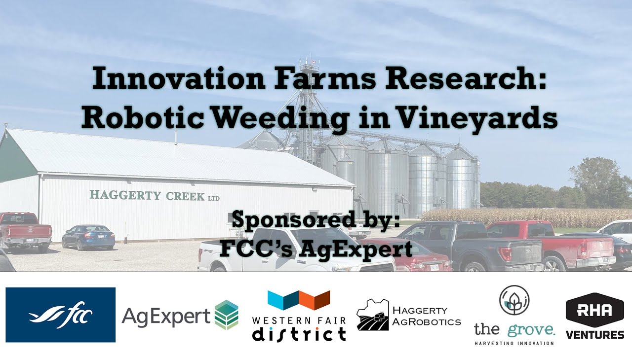 Innovation Farms Research: Robotic Weeding in Vineyards - YouTube