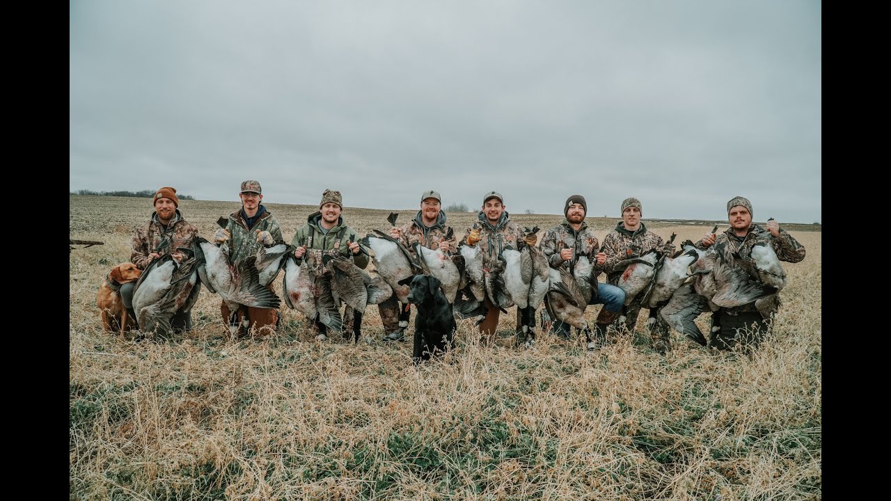 Minnesota Goose Hunting | November Traffic - YouTube