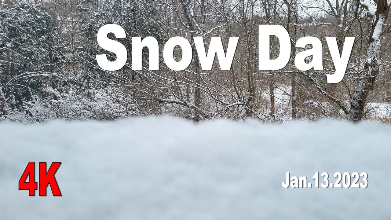 Snow Day [2023.1.13] - YouTube