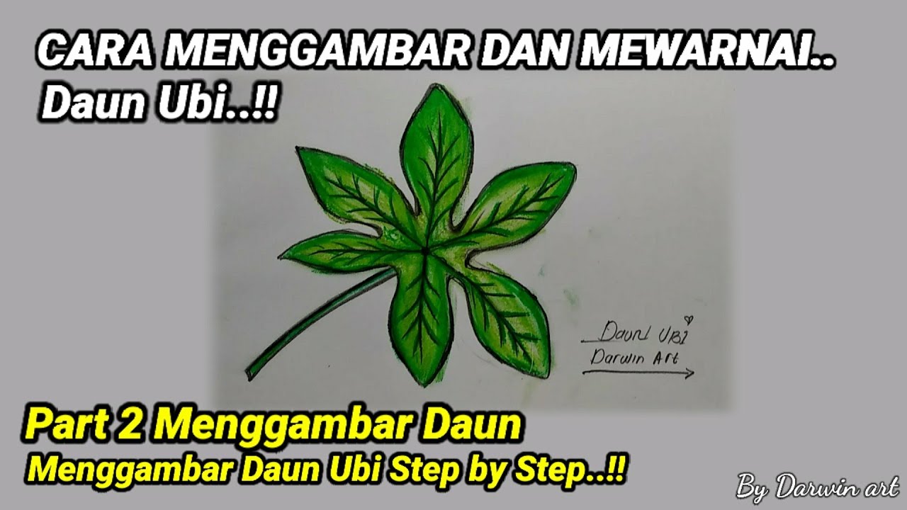 Cara Menggambar Dan Mewarnai Daun Ubi (Singkong )Paling Mudah - YouTube