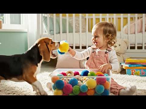 Cute Girl playing with Dog.