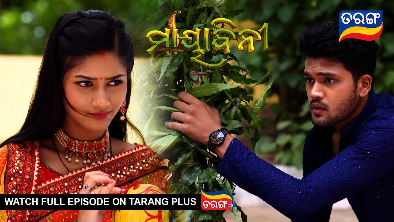 Mayabini | Ep 162 | 22nd April 2023 | Best Scene | Odia Serial–TarangTV ...